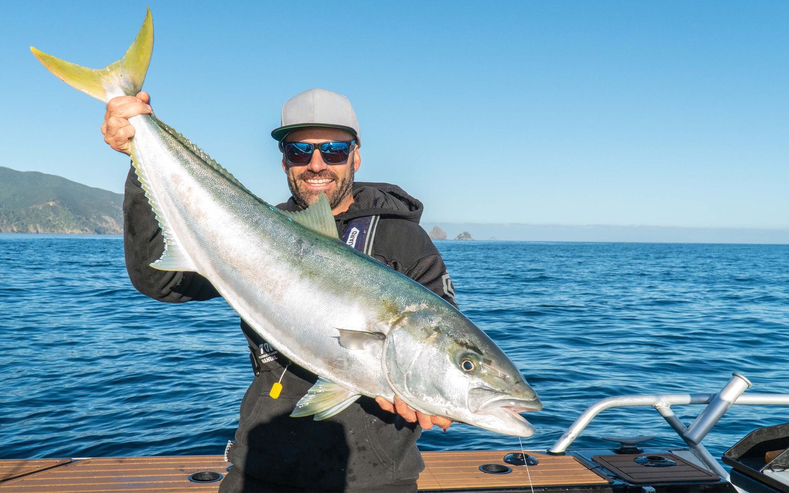 Kingfish - Species Guide